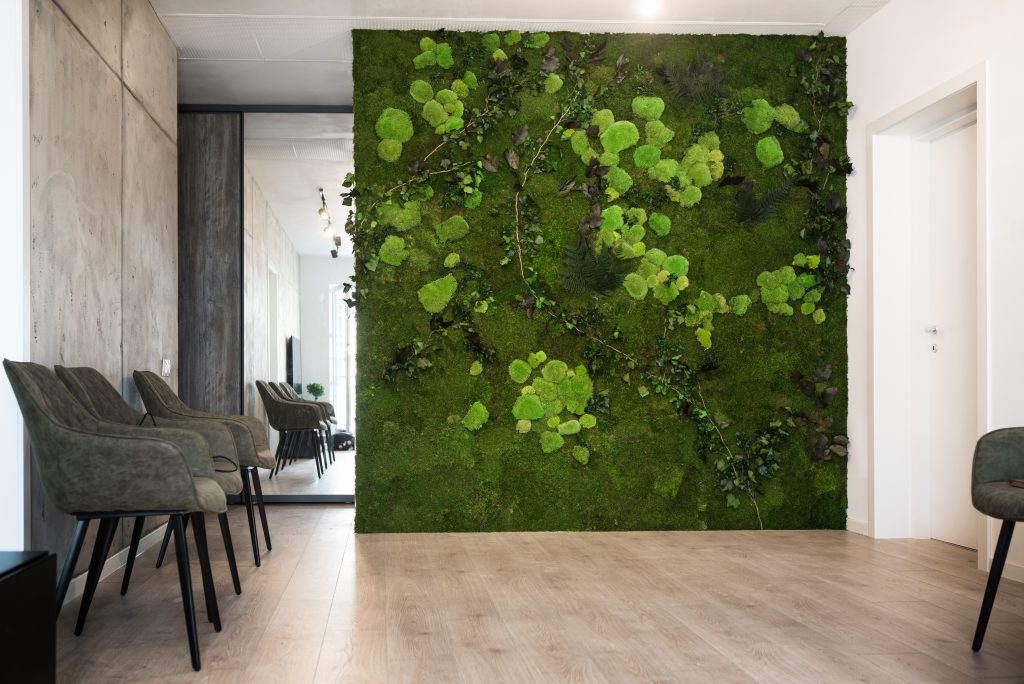 Perete Verde - locuință privată - passibloom